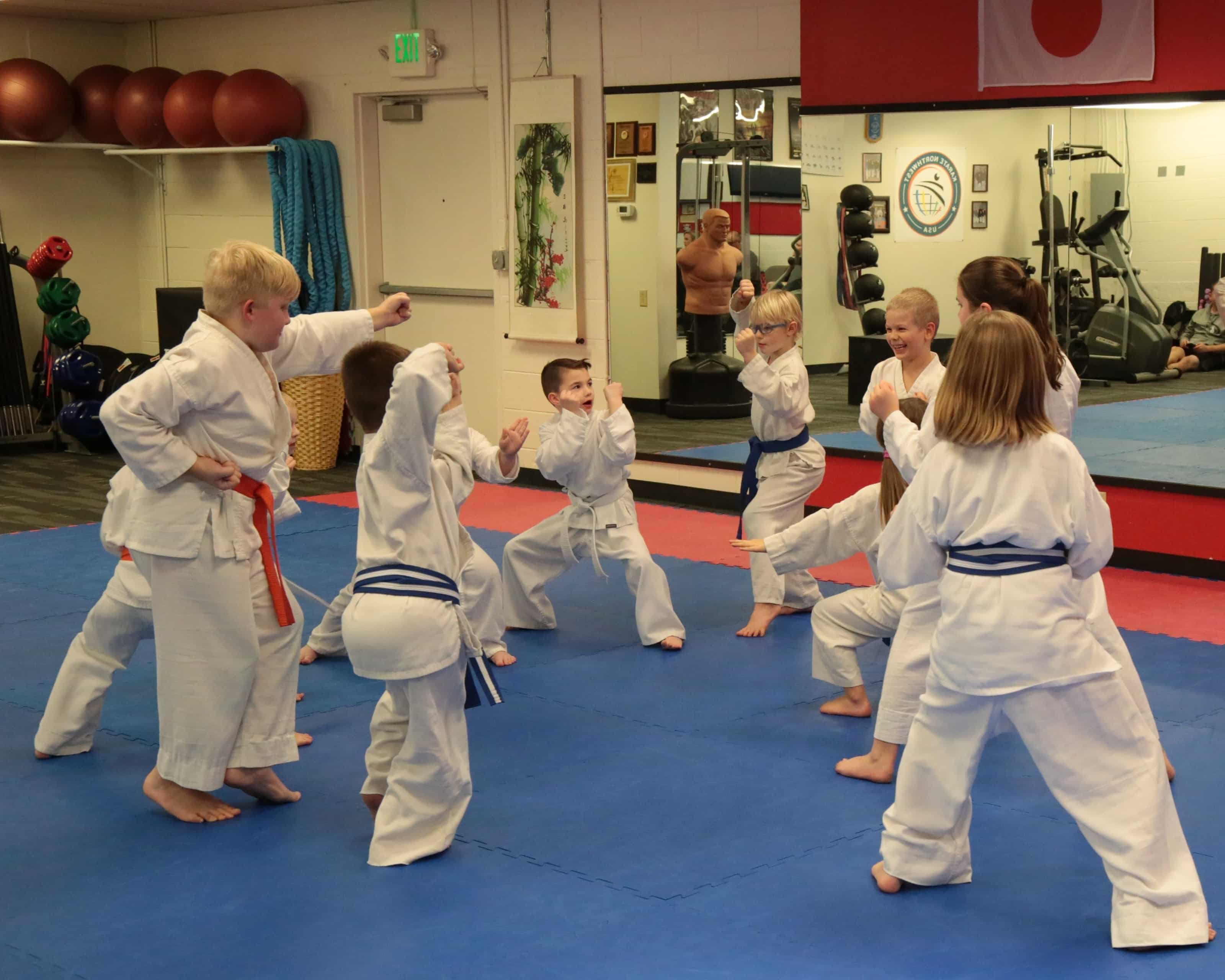 Karate Northwest - About