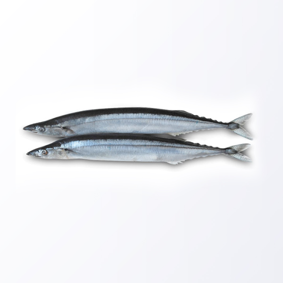 Pafco-new