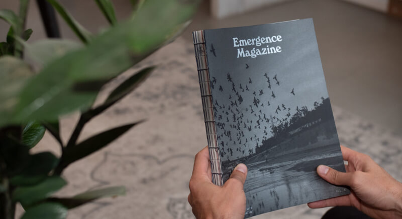 The Best Magazines About Climate Change | Climate Magazines, Curated.