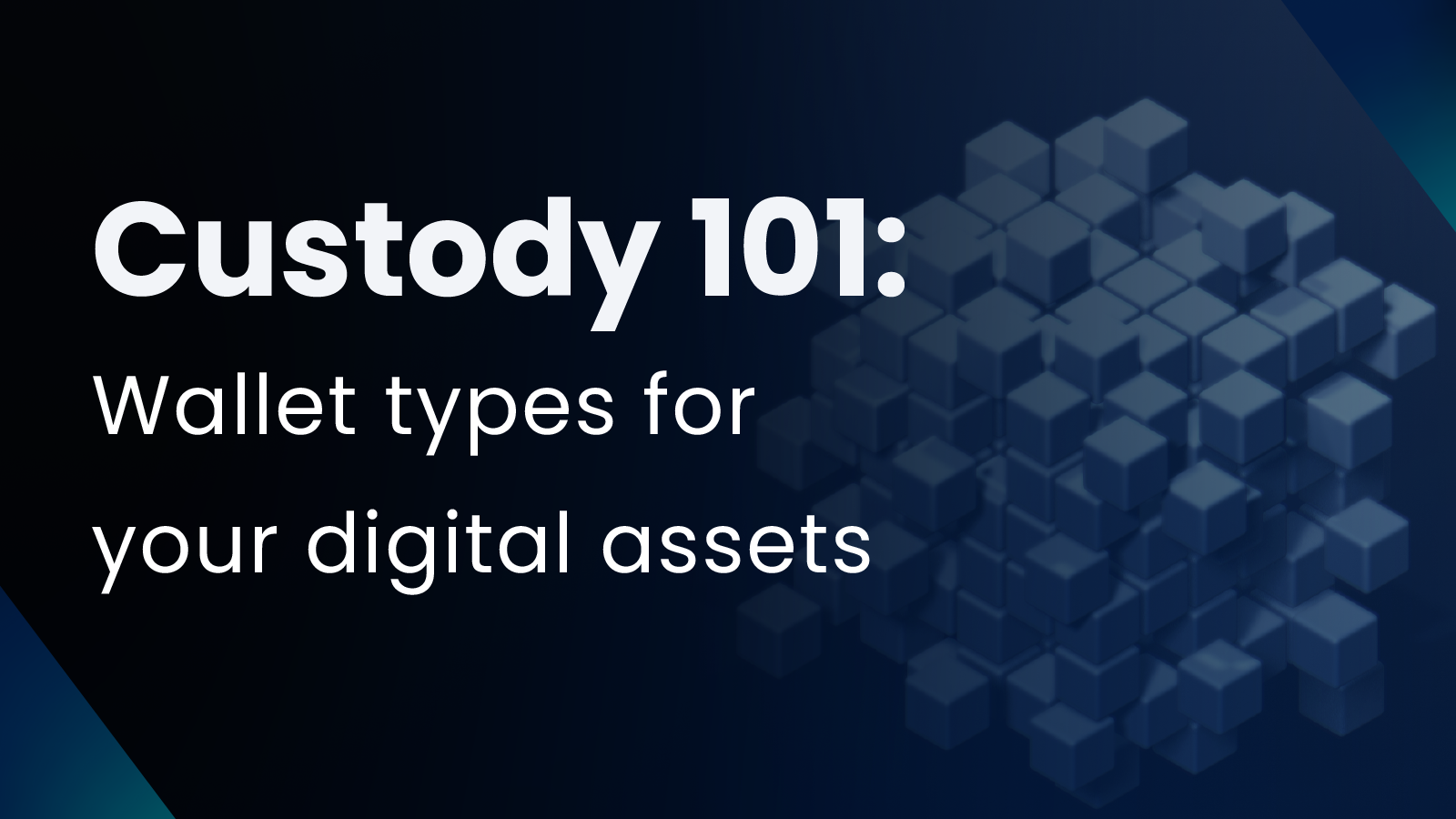 Wallet types for your digital assets | Hex Trust