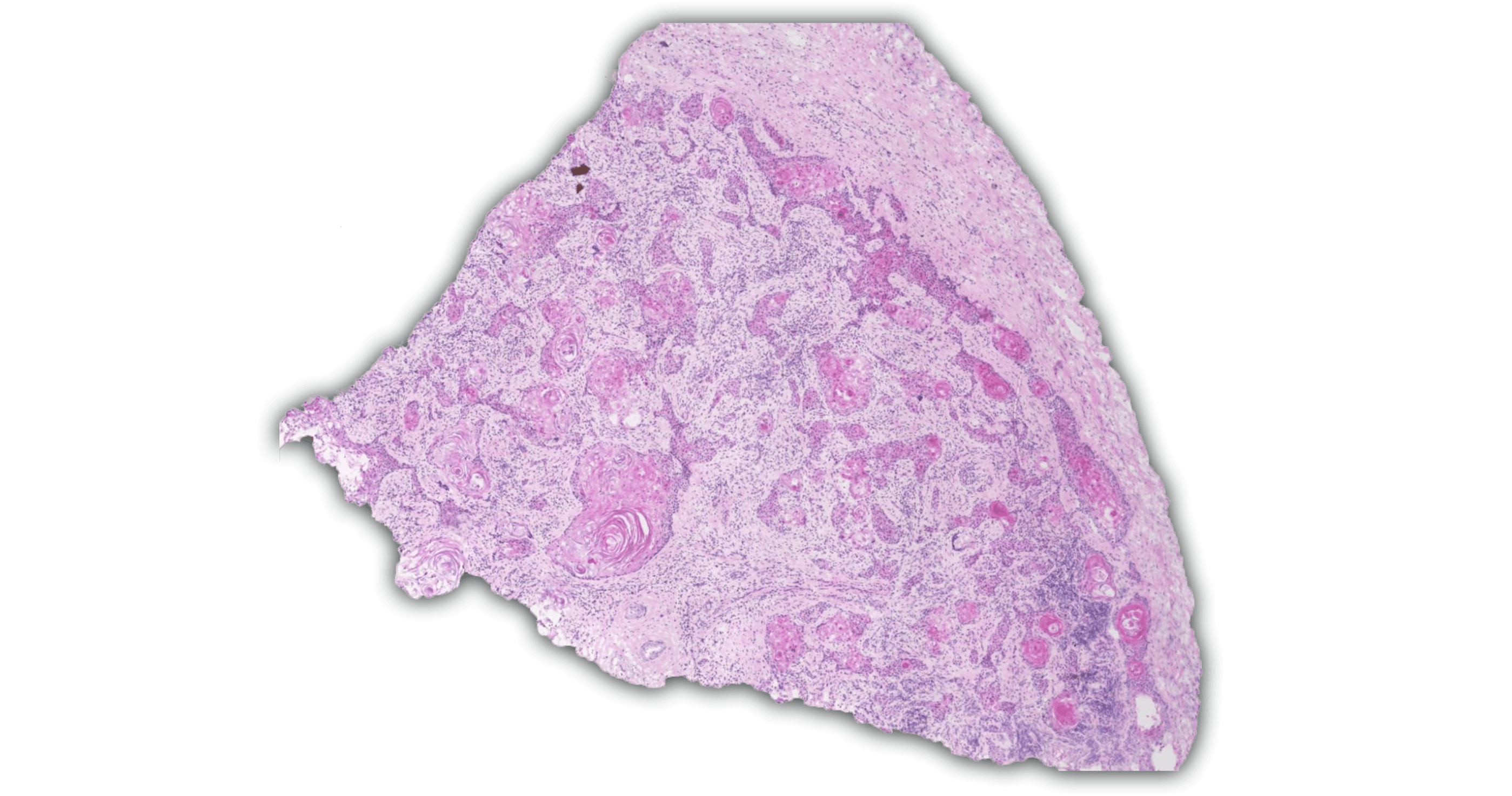 Enable Medicine | Platform