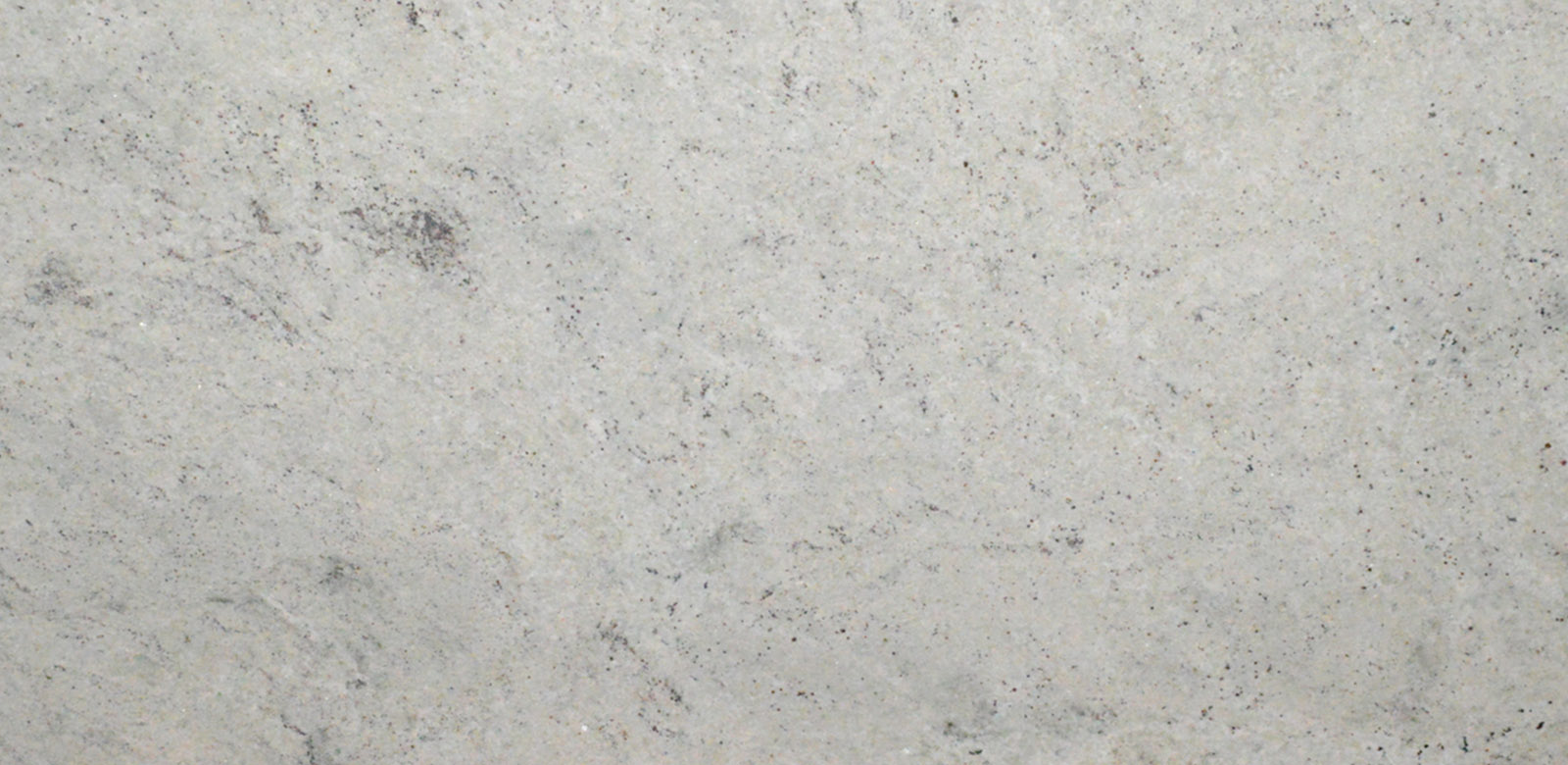 Monterrey Tile Company - Shop Colonial White Polished products today!