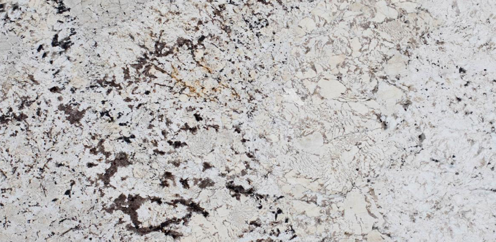 Monterrey Tile Company - Shop Frozen Crystal Polished products today!