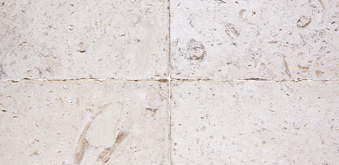 Shell Beige | Monterrey Tile Company