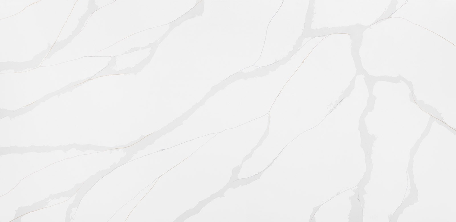 Monterrey Tile Company - Shop Calacatta Sol products today!