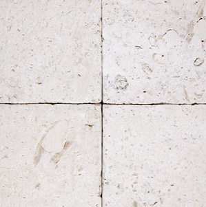 Shell Beige | Monterrey Tile Company
