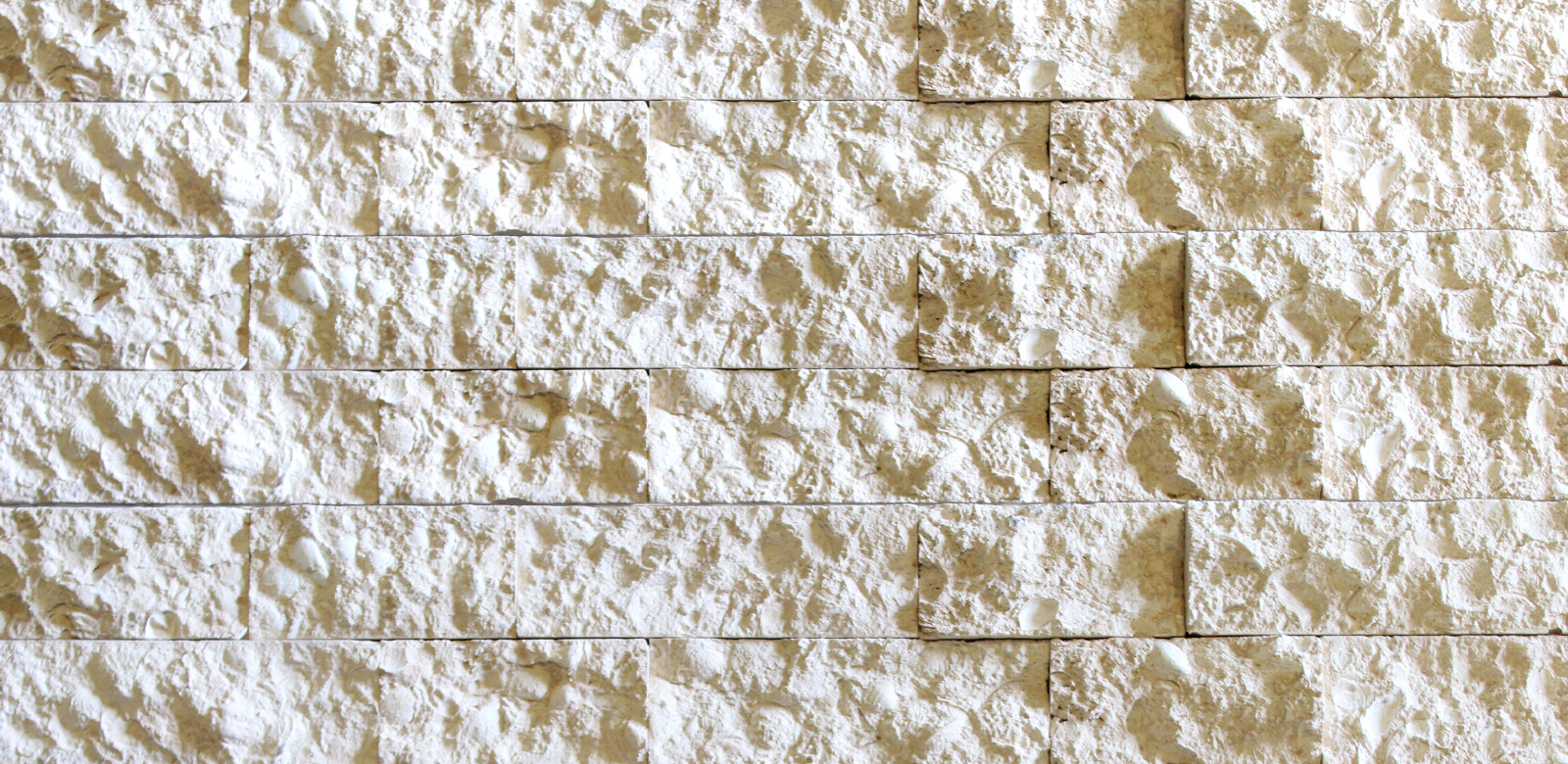 Monterrey Tile Company - Shop Concha products today!