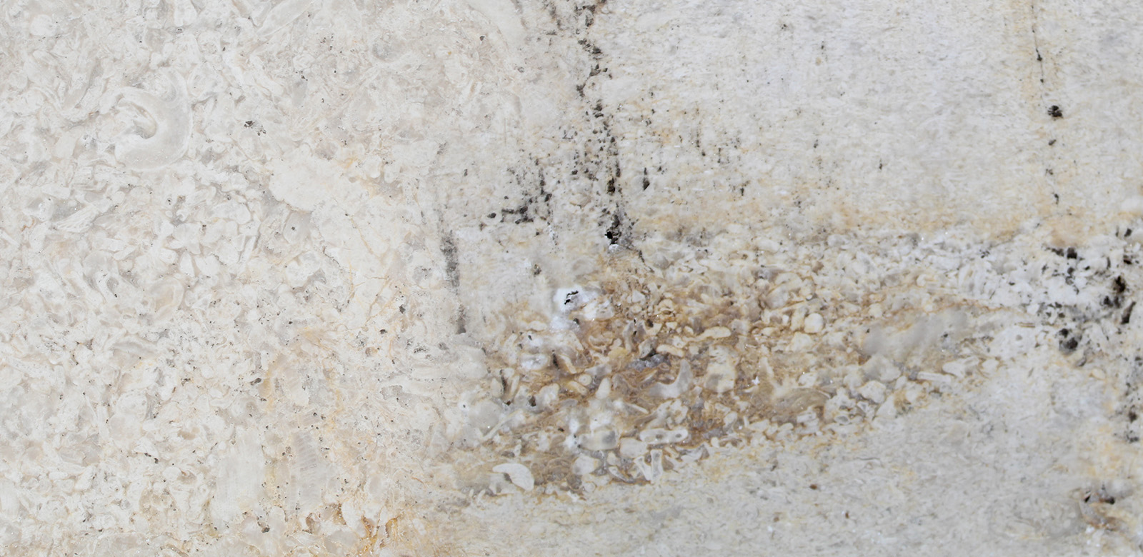 Monterrey Tile Company - Shop Perla Rosada products today!