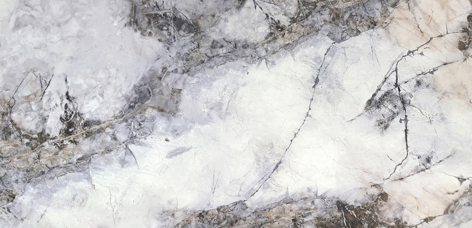 Monterrey Tile Company - Shop Traviata products today!