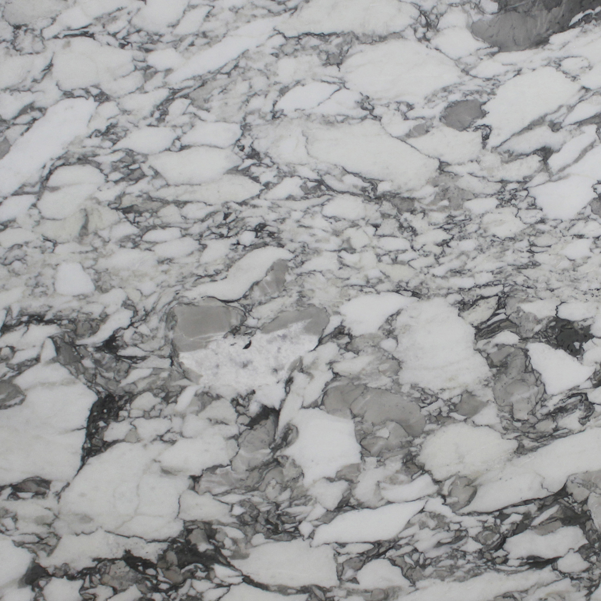 Monterrey Tile Company - Shop Arabescato Vagli products today!