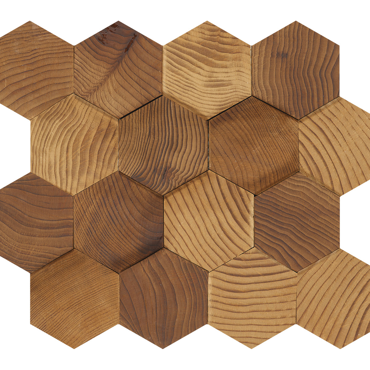 Forest Elements Accent Tiles