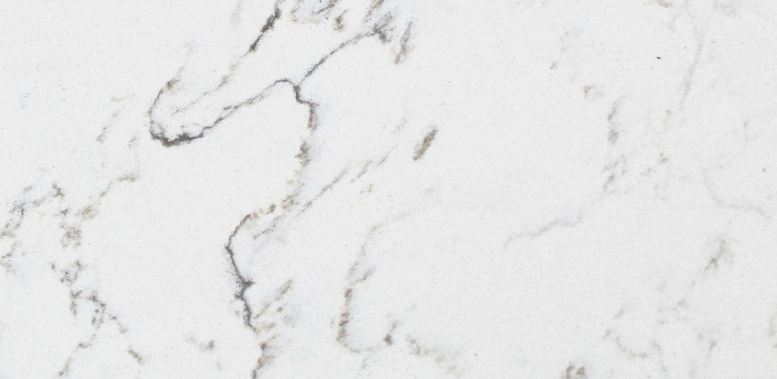 Monterrey Tile Company - Shop Statuario Classic products today!