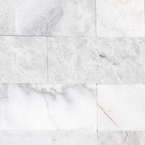 Monterrey Tile Company - Shop Bianco Venus products today!