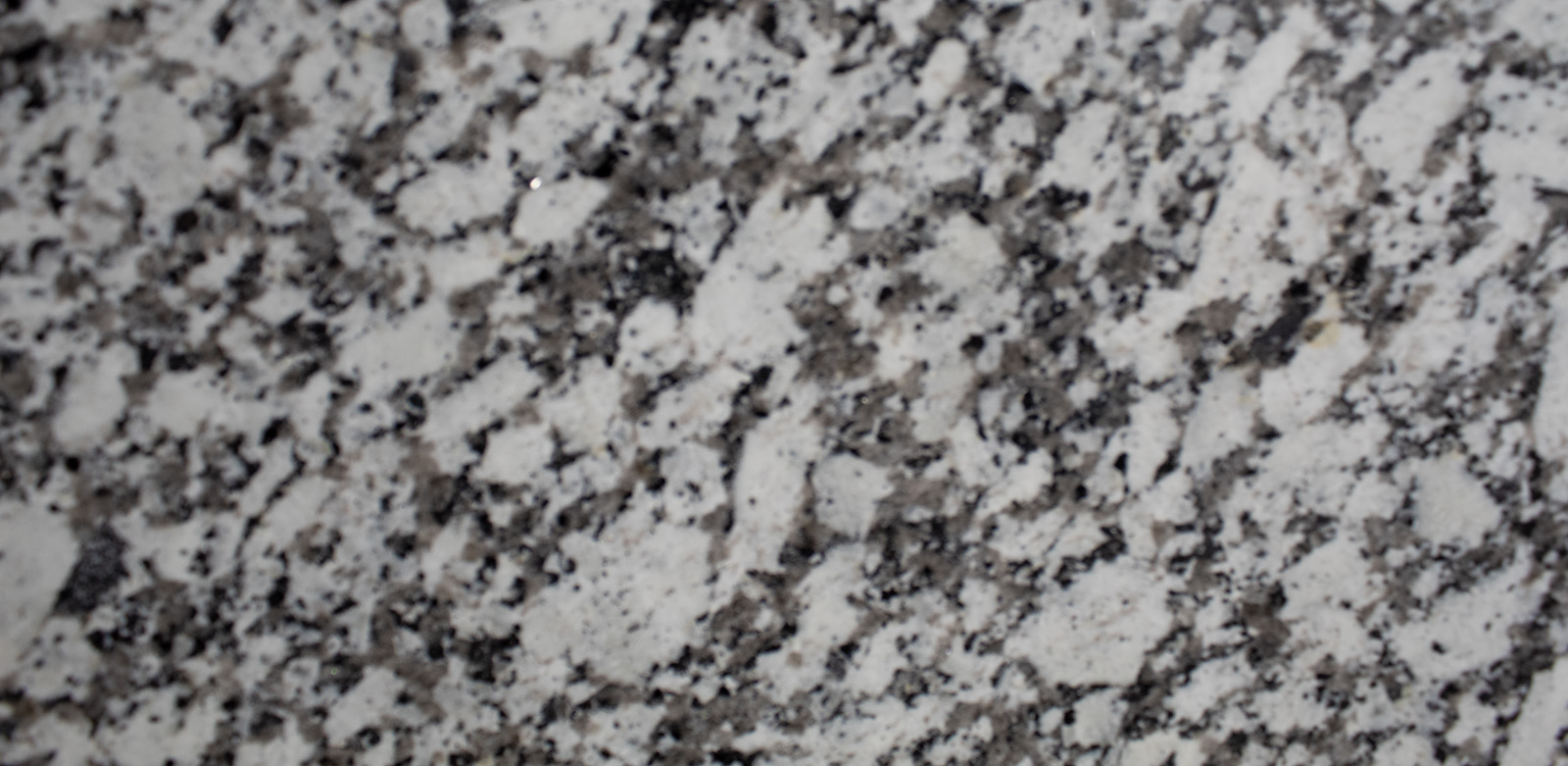 Monterrey Tile Company - Shop Gran Perla products today!