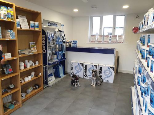 Our Shop | Progressive Pools