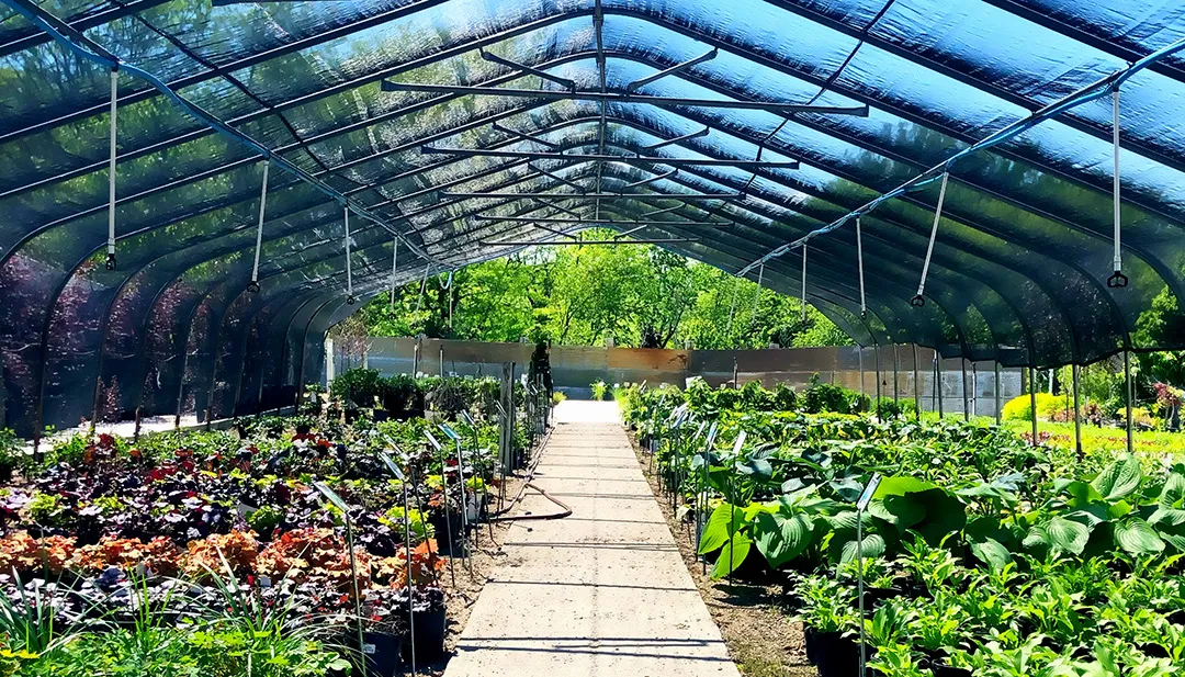 Nursery & Garden Center