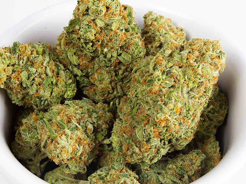 Canna.LIVE - LIVE Cannabis Solutions
