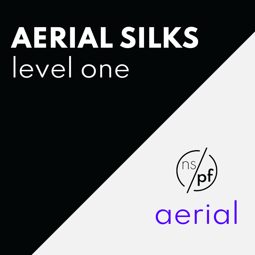 Aerial Silks Level One - North Shore Pole Fitness