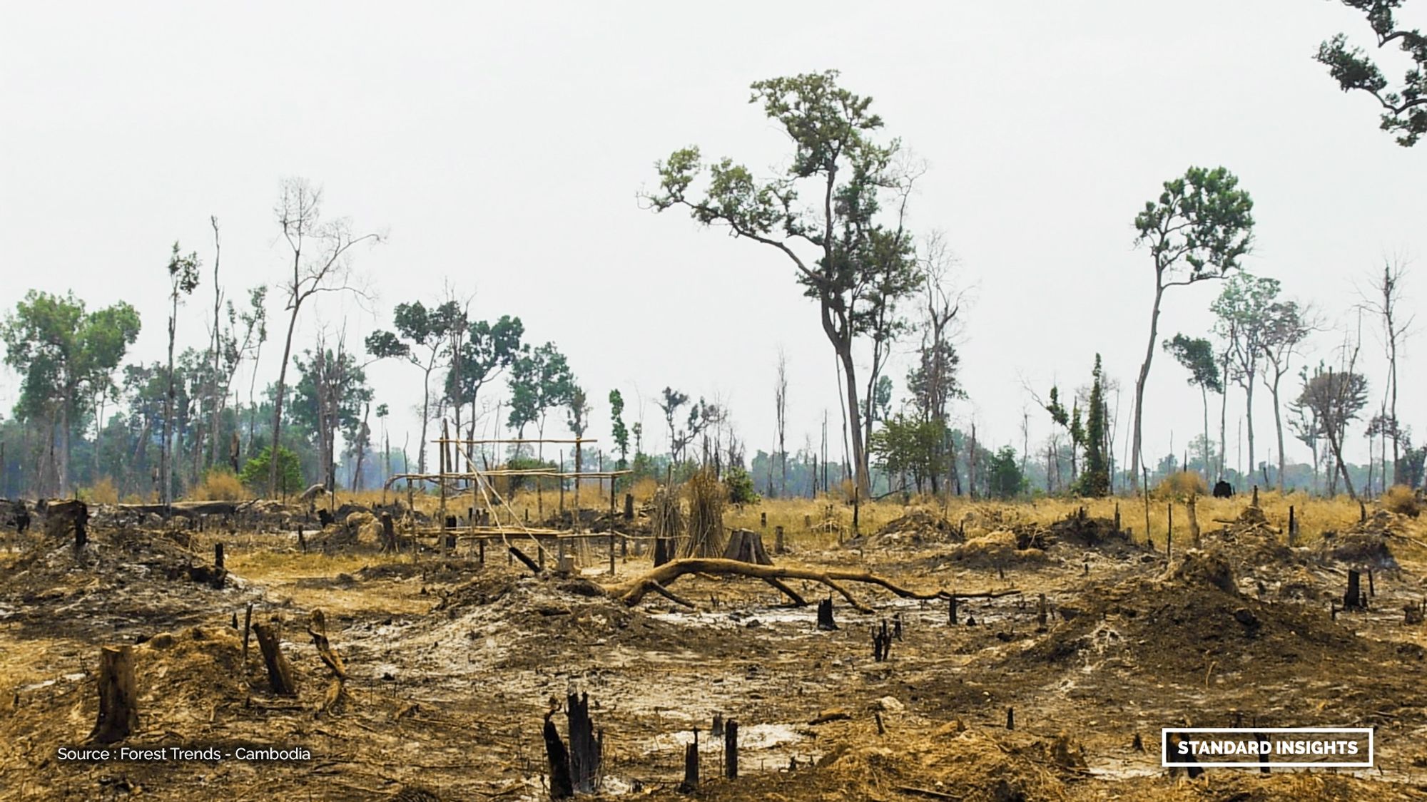 Environmental Sustainability In Cambodia