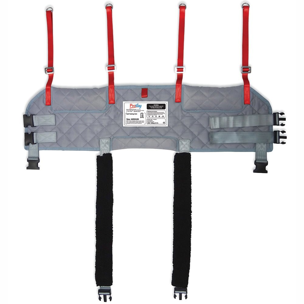 ProSling Gait Training Vest - Scooters & Mobility Tamworth | Assisted ...