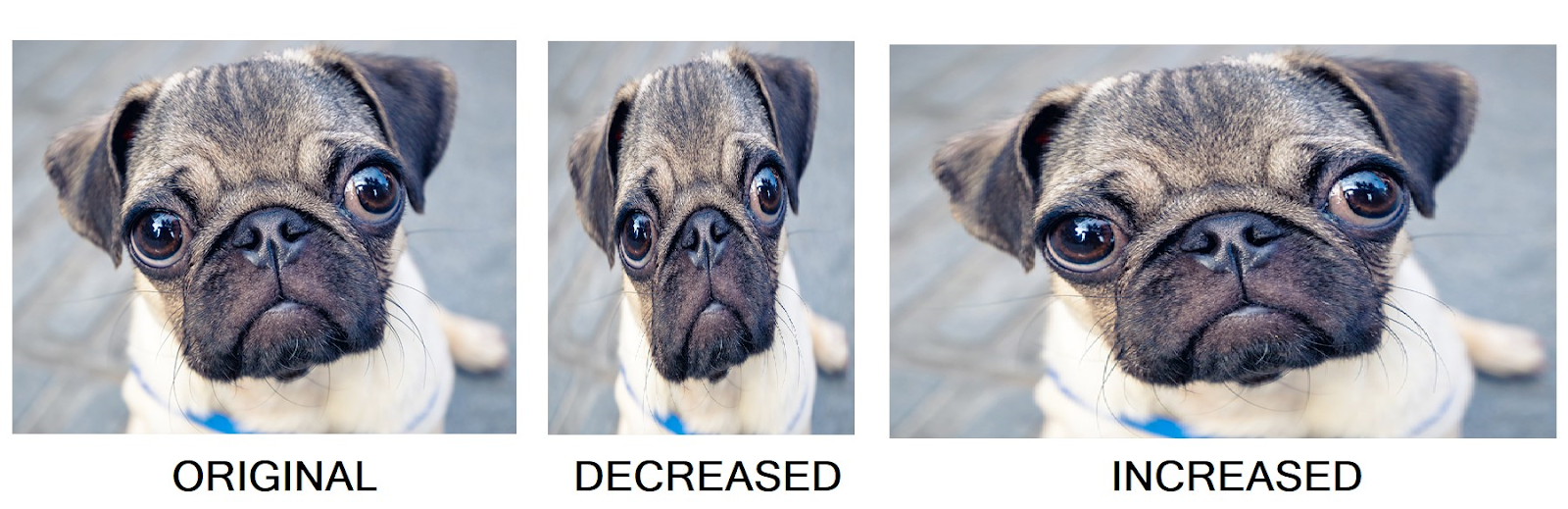 Video Aspect Ratio: An In-Depth Guide (2024)