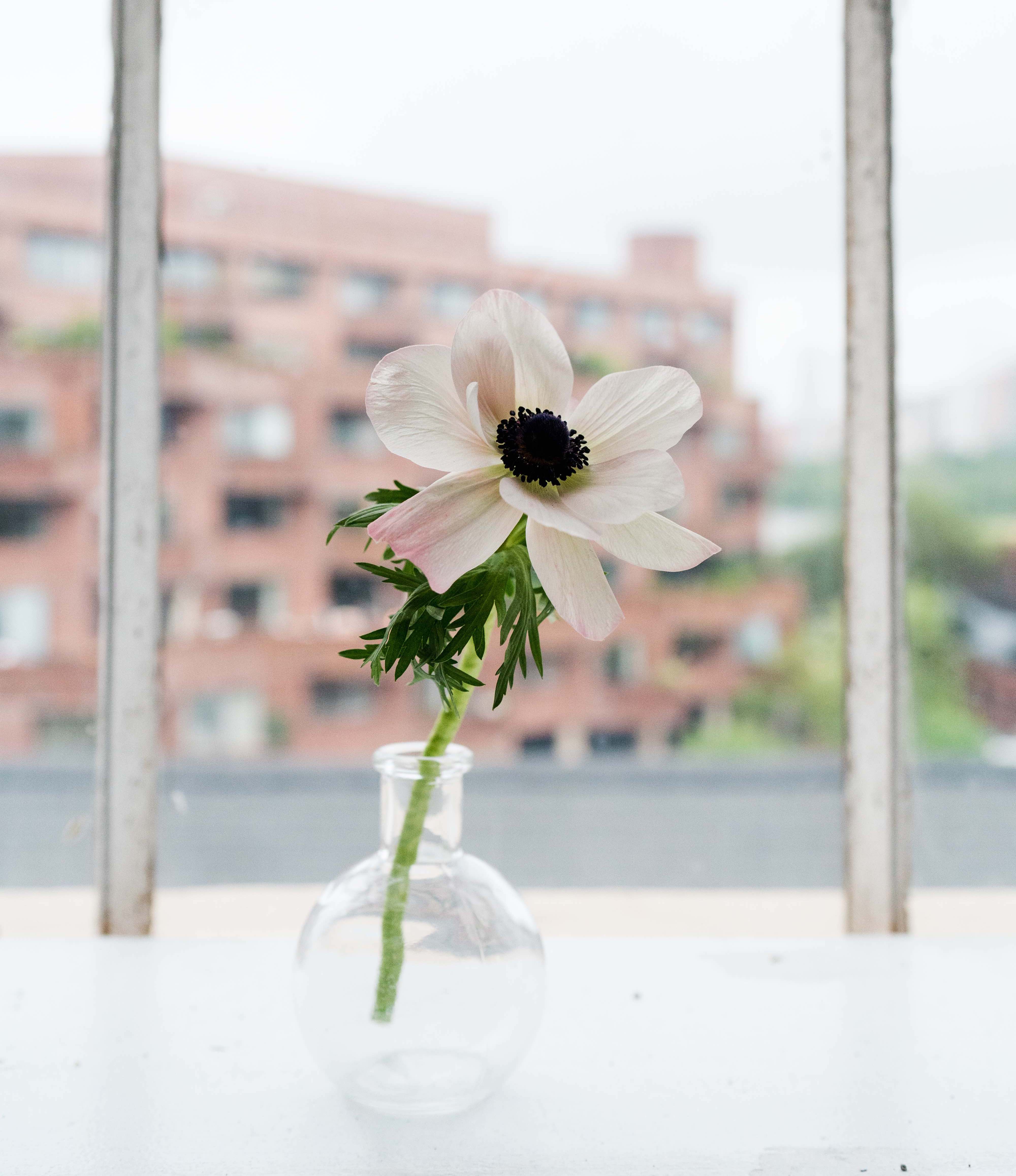 Lifestyle Blogger Ella on Finding Joy Through Floral Design