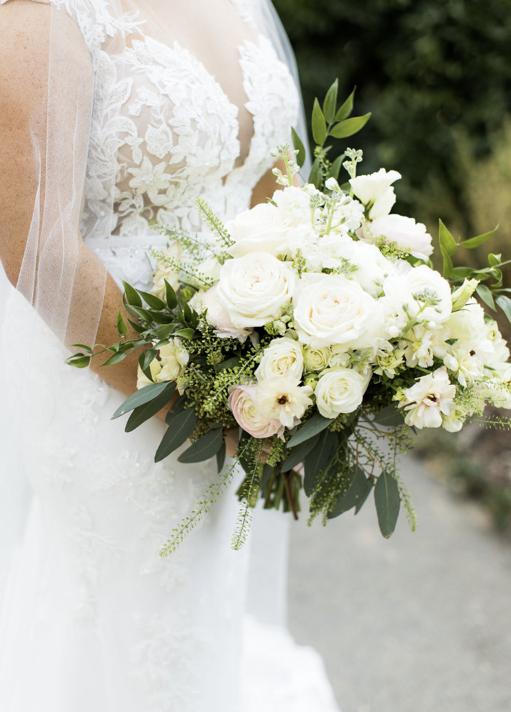 Blush | Poppy Flowers