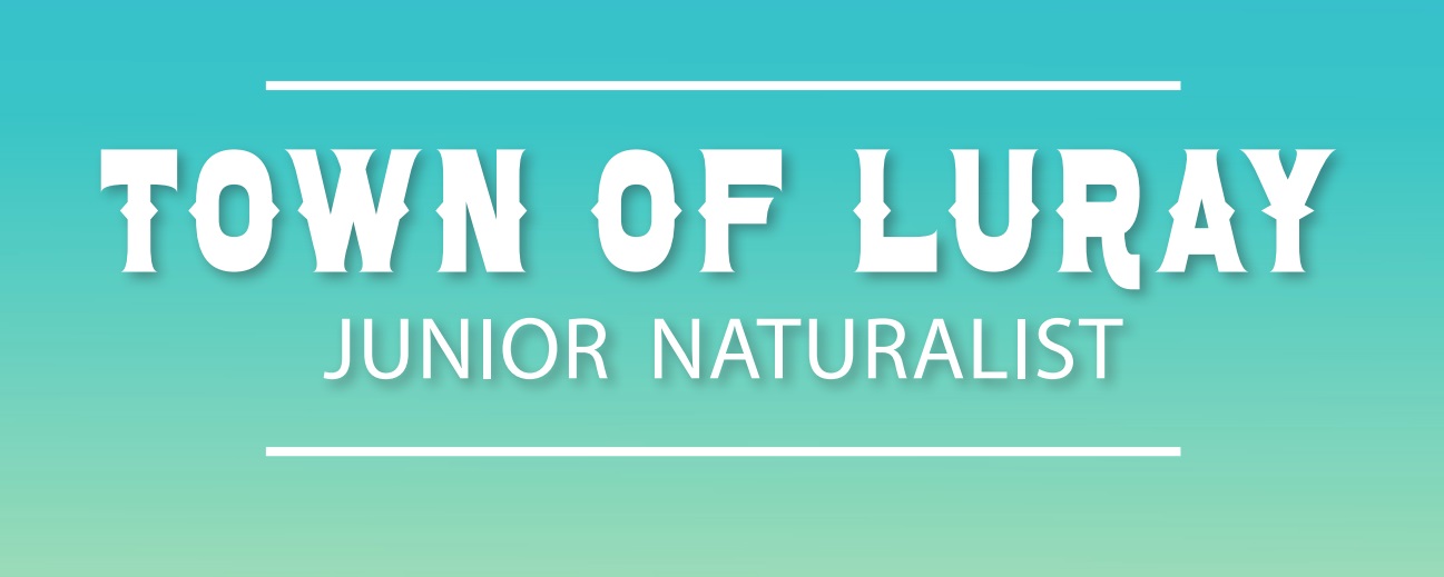 Junior Naturalist Booklets