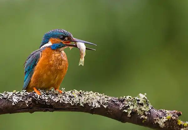 Welcome to The Market Weighton Canal Trail