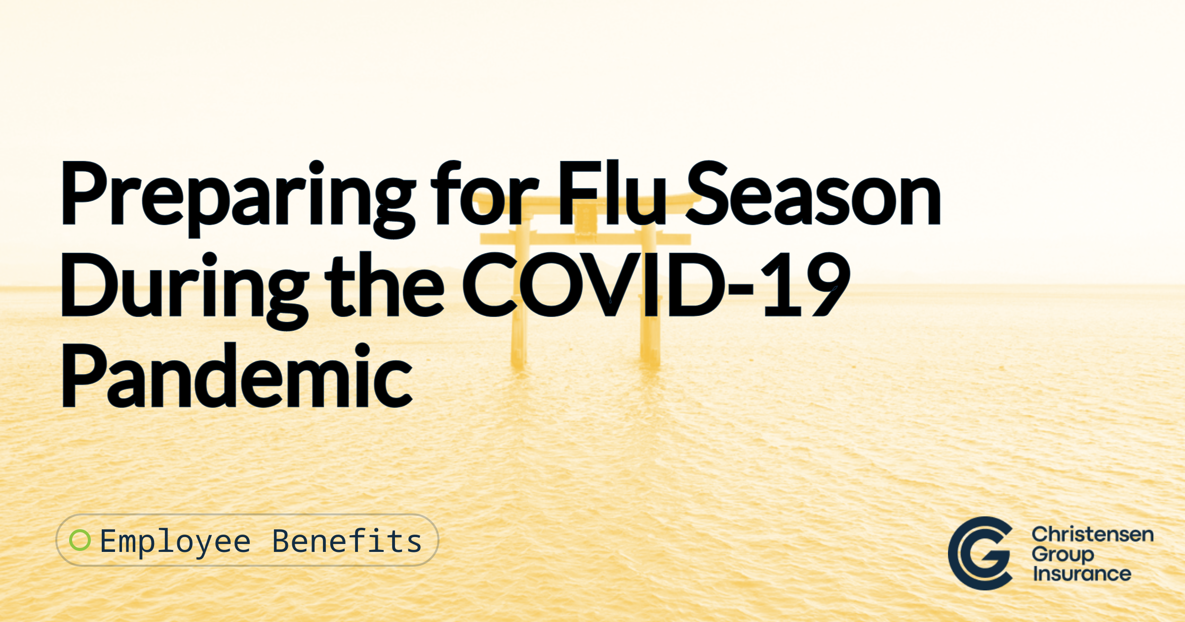 Preparing for flu season during the COVID-19 pandemic | Christensen Group