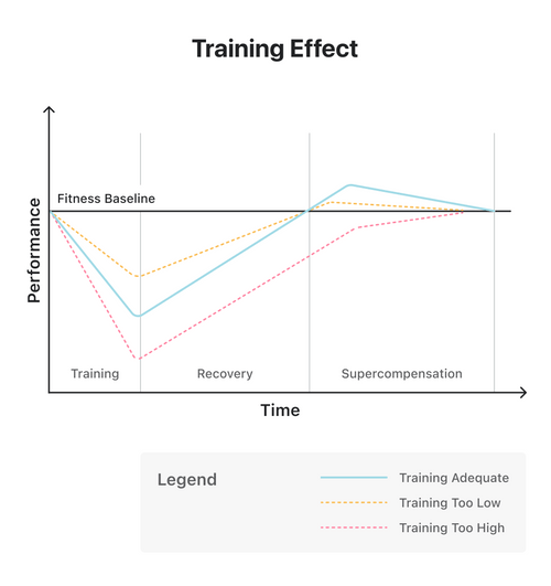 Maximize Performance with Periodization Training