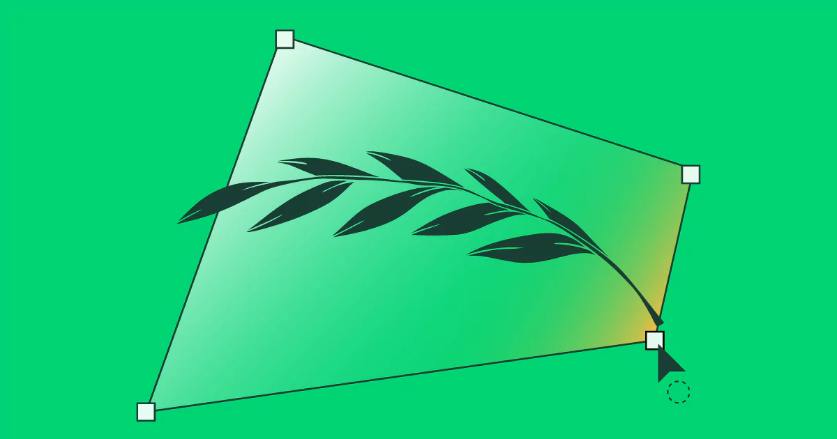 Tim Doyle: The Aroma of Eucalyptus