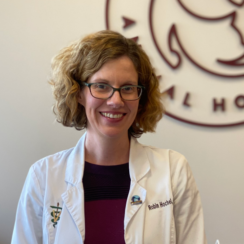 About Us — Briarlake Animal Hospital