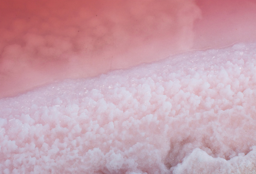 Las Coloradas | Laguna Rosa en Yucatán