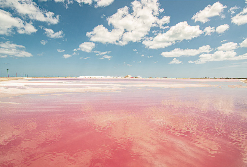 Las Coloradas | Laguna Rosa en Yucatán