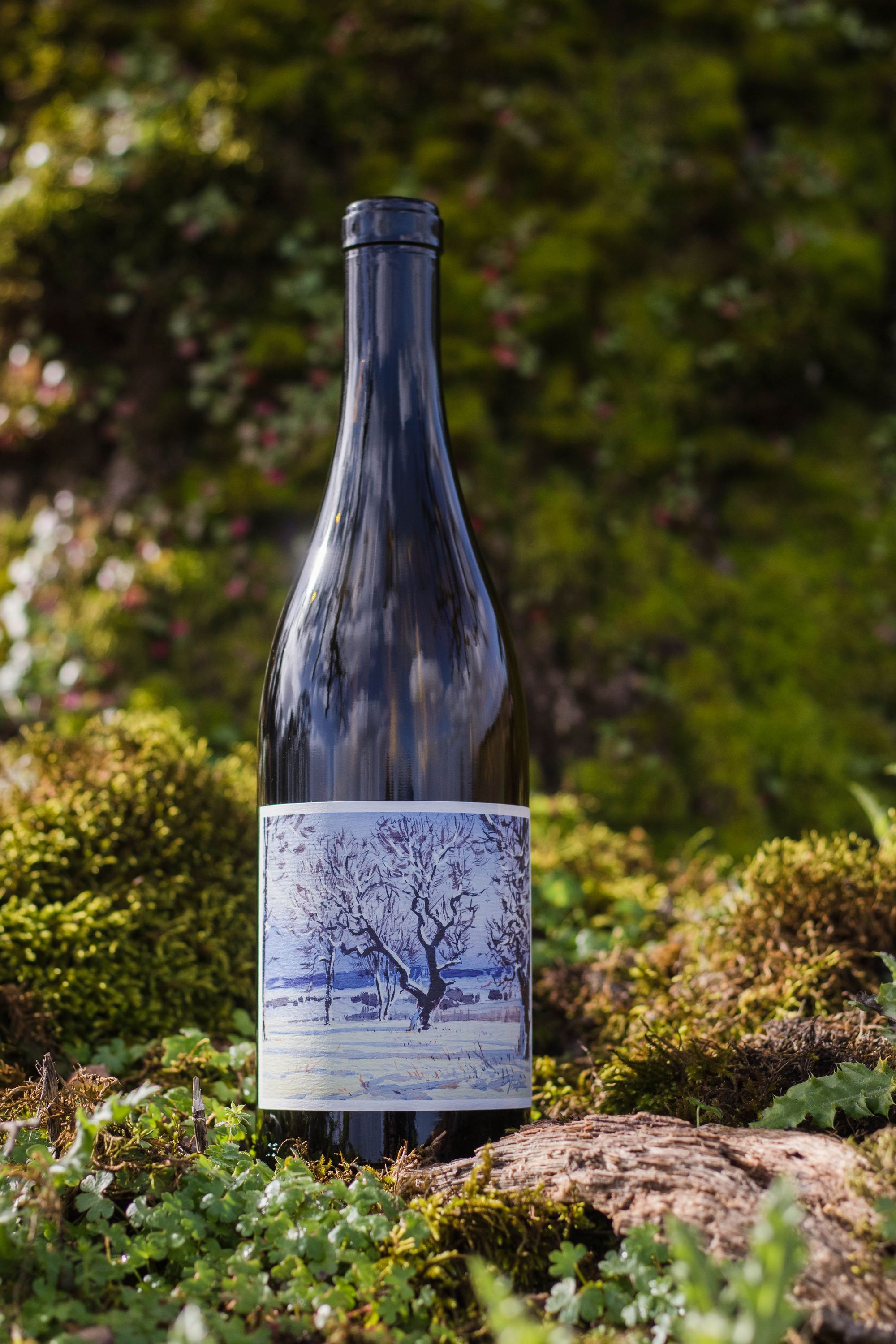 Biodynamic Wines | Johan Winery & Vineyard