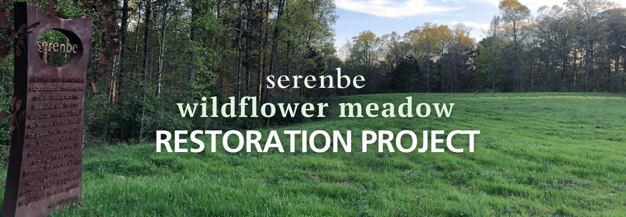 Art Farm Announces Serenbe Wildflower Meadow Restoration Project