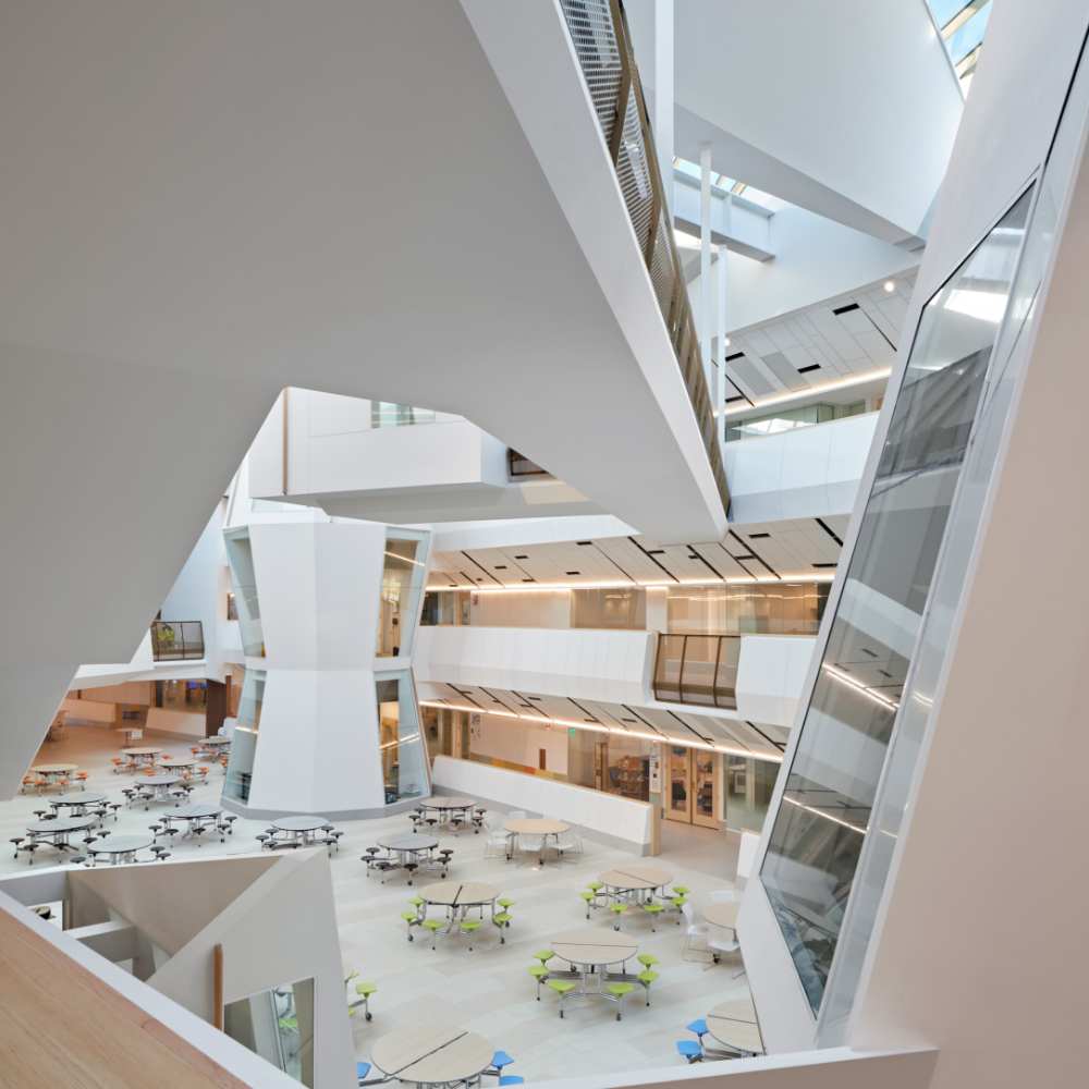 BERDO 2.0 Explained | The Green Engineer