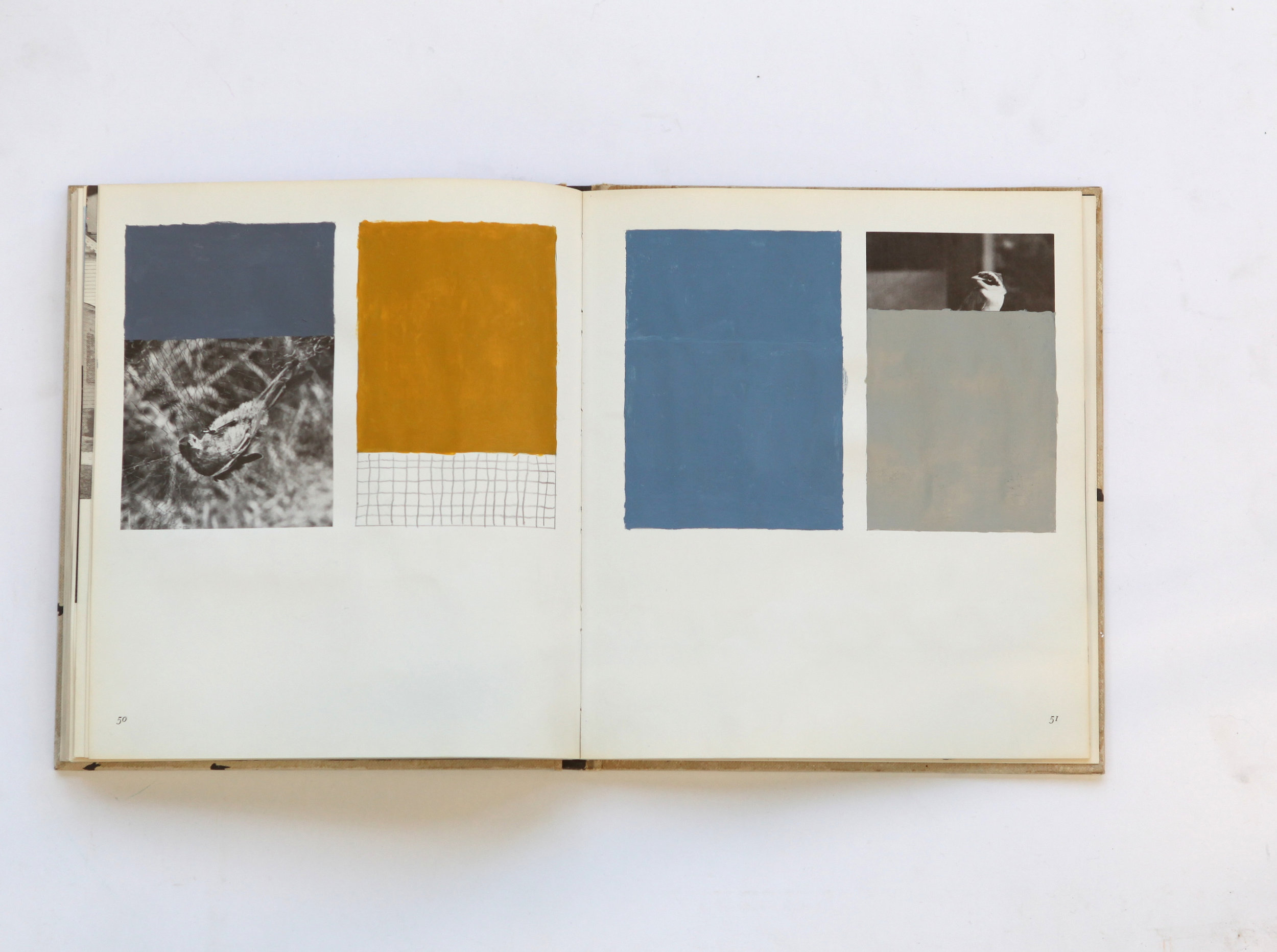 Feng Guo | Create! Magazine