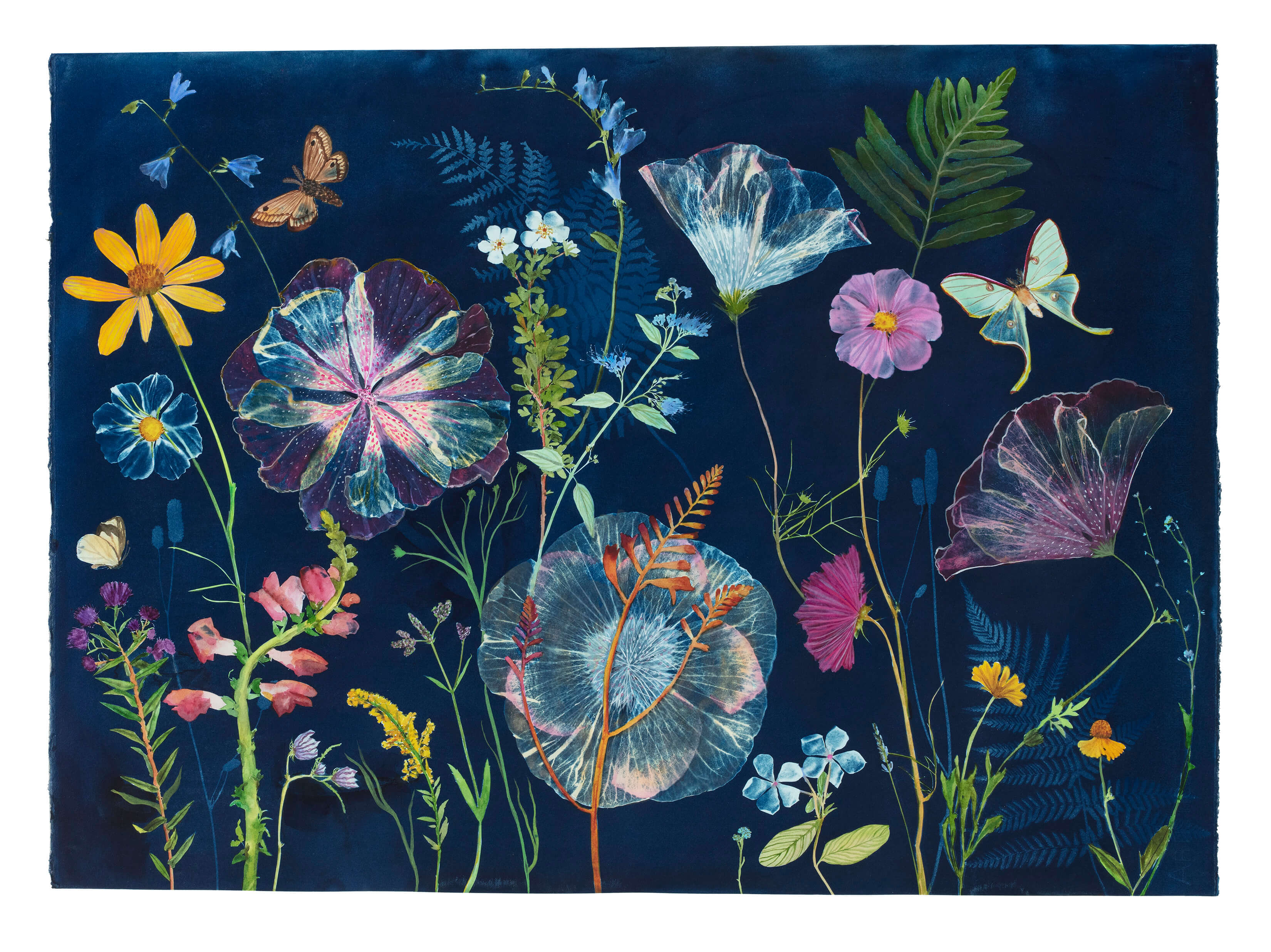 Mixed Media Cyanotypes by Julia Whitney Barnes | Create! Magazine