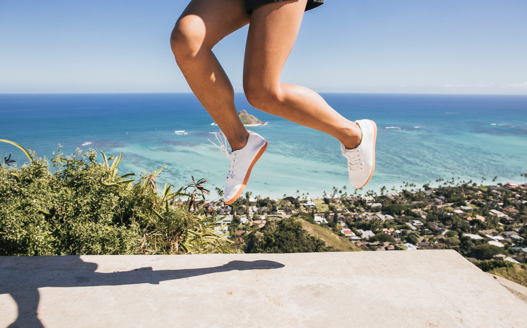 Case Study - Social Bulldog | Varos