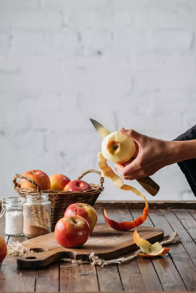 Dehydrated Apple Dust/Peel | Commercial Dehydrators