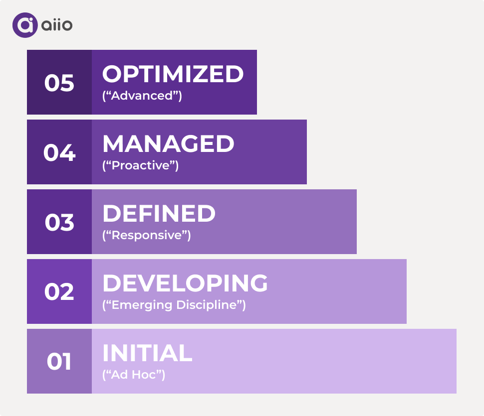 Process Maturity: The Evolution of Organizational Efiiciencies