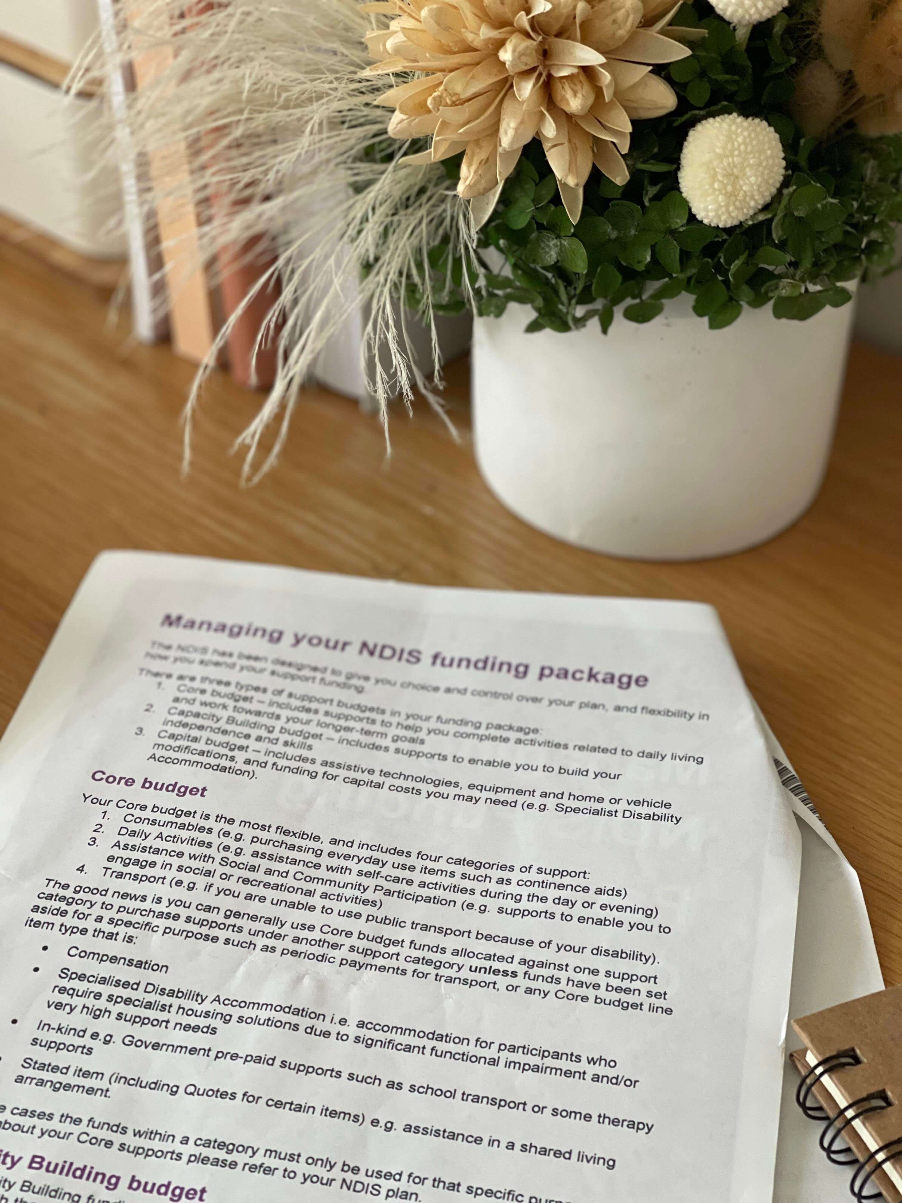 NDIS goals for level 2 plan example - Kindship