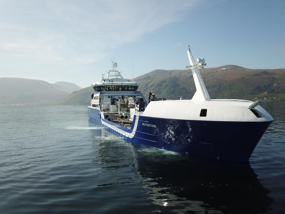 Rostein | Ro Fortune