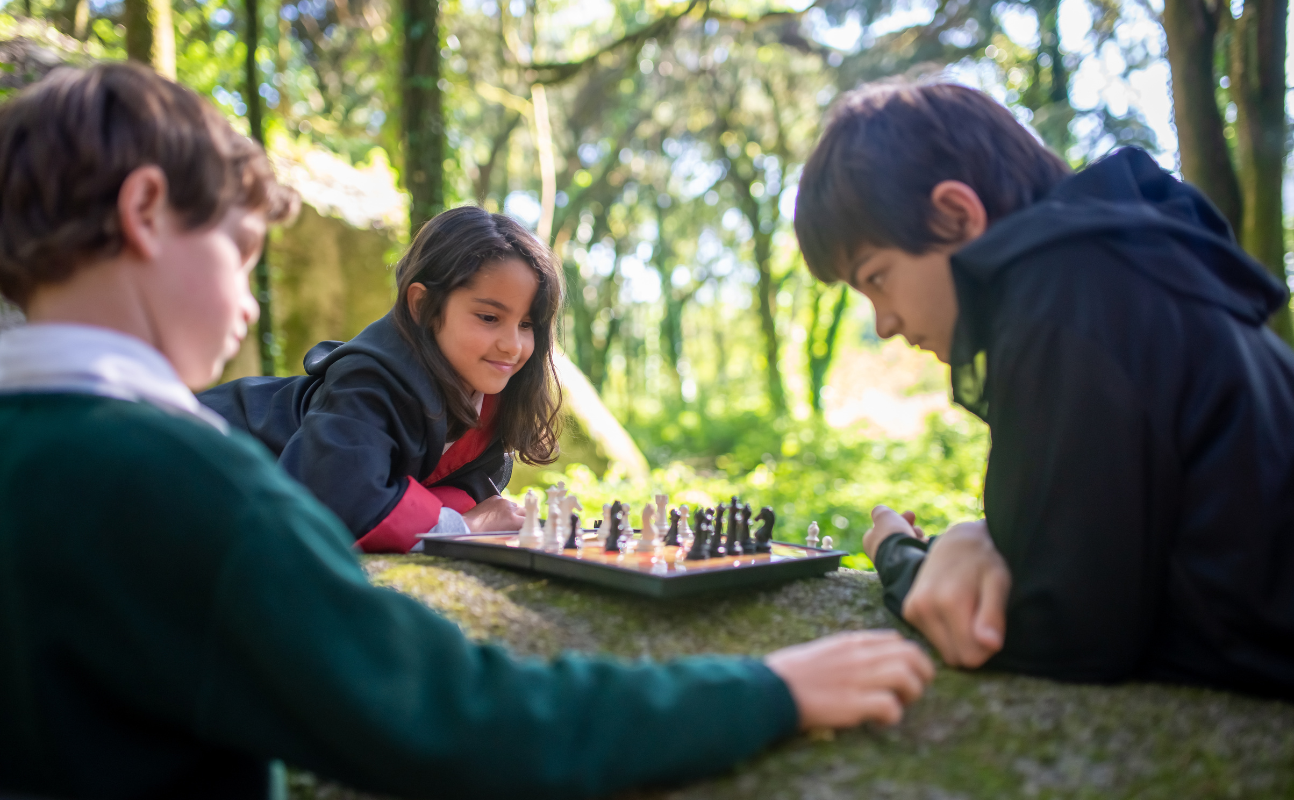 SF, Marin, Bay Area Experiences