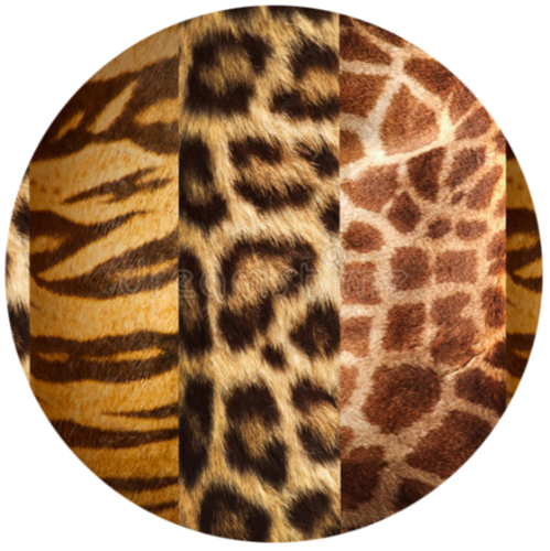 Create a Animals 7 Trivia Game with Crowdpurr