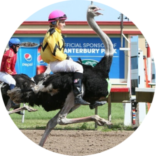 Create a The Wild World of Sports Trivia Game with Crowdpurr