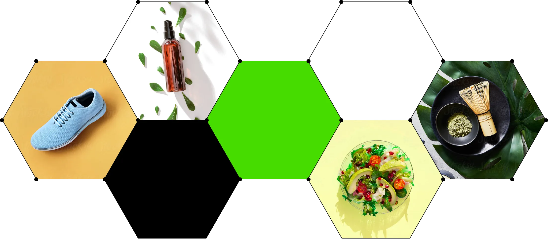 Get to Know Us | Planet FWD