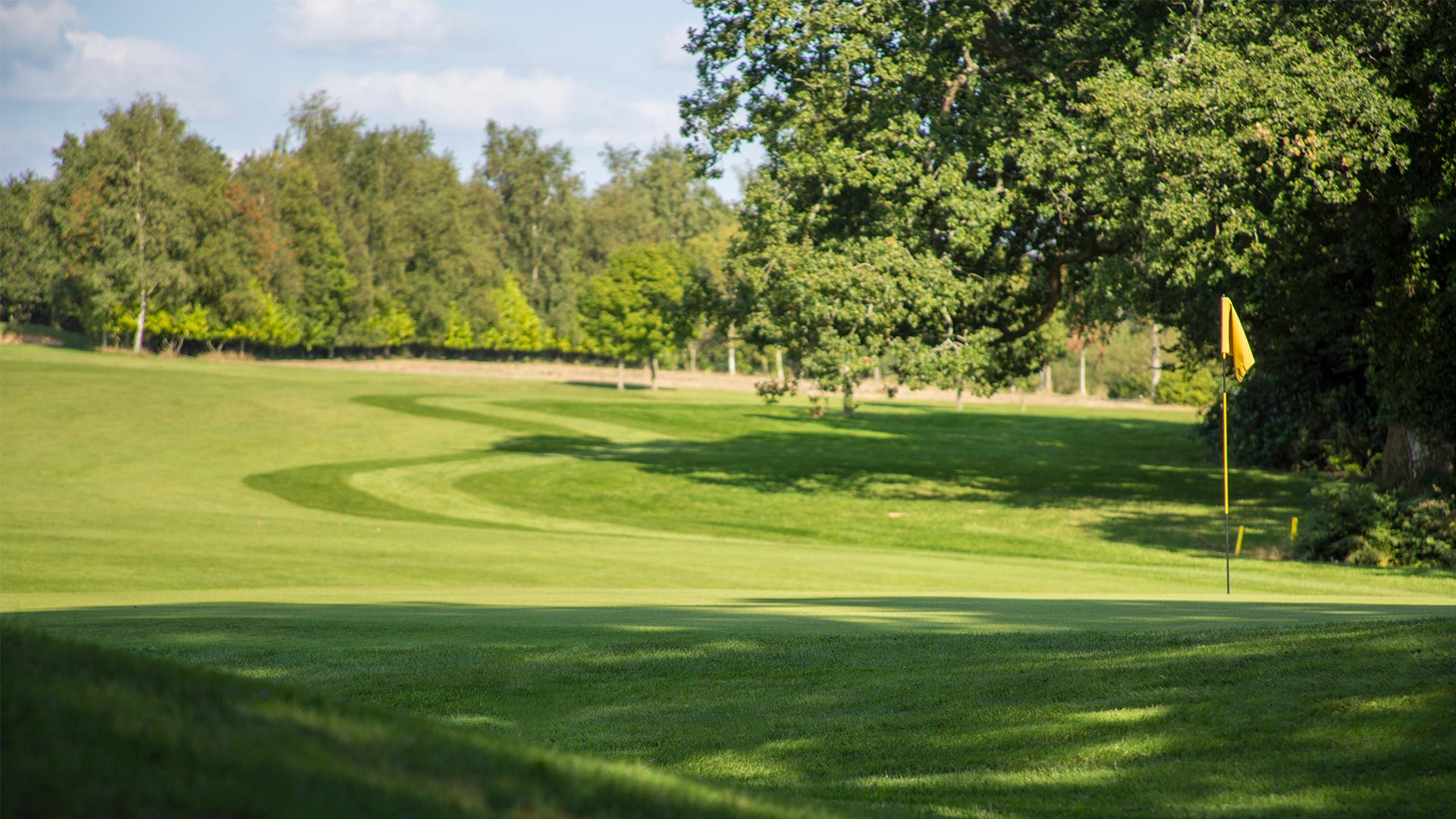 Bulbury Woods Golf Course - Poole Golf Club